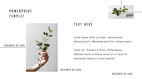 Free Floral Spring Powerpoint Template Just Free Slide