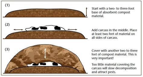 Composting Mortalities Livestock