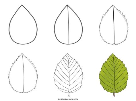 How To Draw Leaves Easy Step By Step Tutorials Bullet Journal Monthly