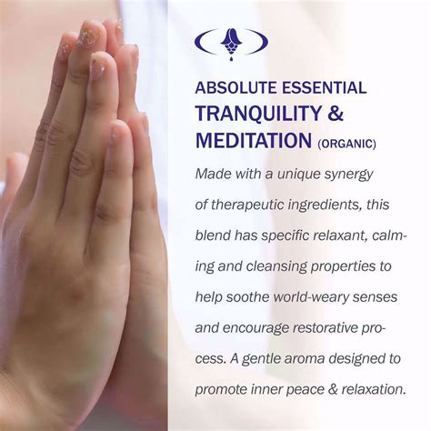 Tranquility Meditation 寧靜冥想精油 食在自在心空間Spaco