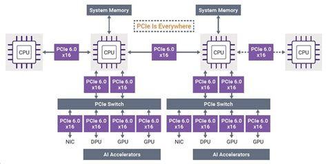 Synopsys Inc On Linkedin How Pcie Connects Ai Accelerators And Cpus Synopsys Blog