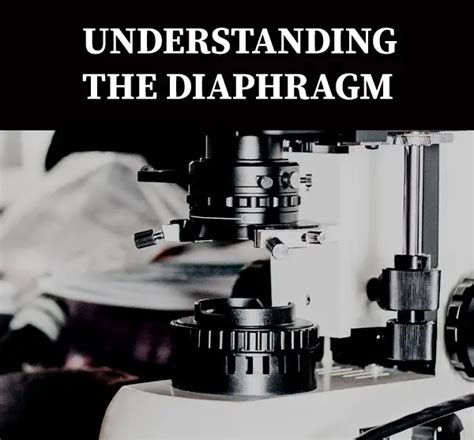 Understanding And Adjusting Your Microscope Diaphragm