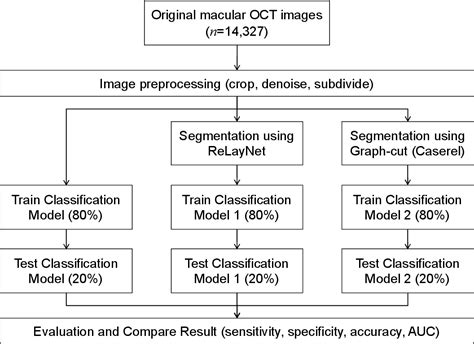 Figure 1 From The Classification Of Common Macular Diseases Using Deep Learning On Optical