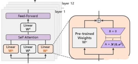 全参微调与lora的区别，及7种lora变种方法解析qlora和lora的区别 Csdn博客