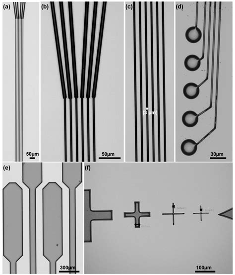 Batch Fabrication Of Microelectrode Arrays With Glassy Carbon
