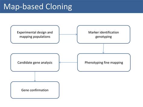 Map Based Cloning Pptx