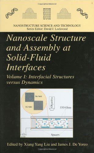 Nanoscale Structure And Assembly At Solid Fluid Interfaces Xiang Yang Liu 9781402077920