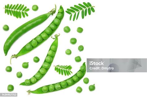 흰색 배경에 고립 된 녹색 완두콩이있는 신선한 녹색 완두콩 포드 클리핑 경로입니다 맨 위 보기 0명에 대한 스톡 사진 및 기타