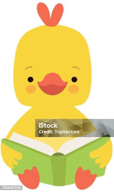 귀여운 치킨 독서 책 사랑 스러운 똑똑한 새 문자 책 벡터 일러스트와 함께 앉아 교과서에 대한 스톡 벡터 아트 및 기타 이미지