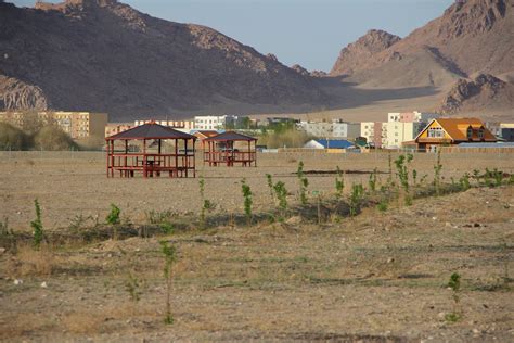 Монгол Улсын Ерөнхийлөгчийн 2010 оны 63 дугаар зарлигаар жил бүрийн 5 10 дугаар сарын 2 дугаар