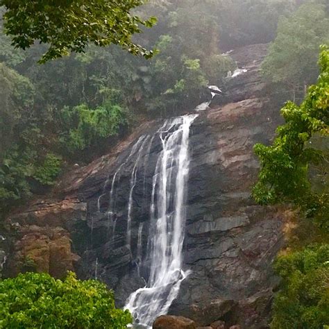Aveda Munnar Trails Reviews Chinnakanal Kerala India Photos Of Hotel Tripadvisor