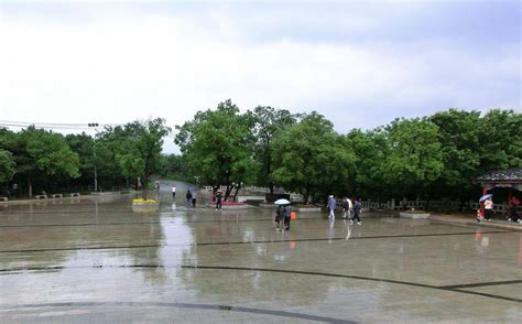 2020 03 08 运城平陆天气 小雨今日最高气温 17 ℃ 今日头条
