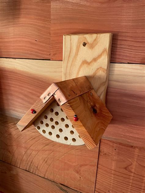 Bug Box Winson Woodcraft Ltd