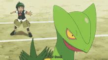 Sceptile Pokémon Sceptile  Sceptile Pokémon Sceptile Greninja