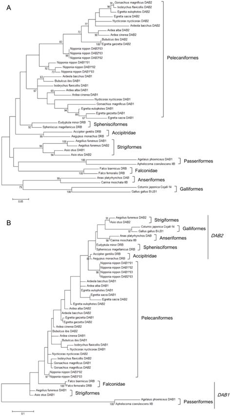 The Best Fitting Nucleotide Substitution Model For Each Codon Position Download Scientific
