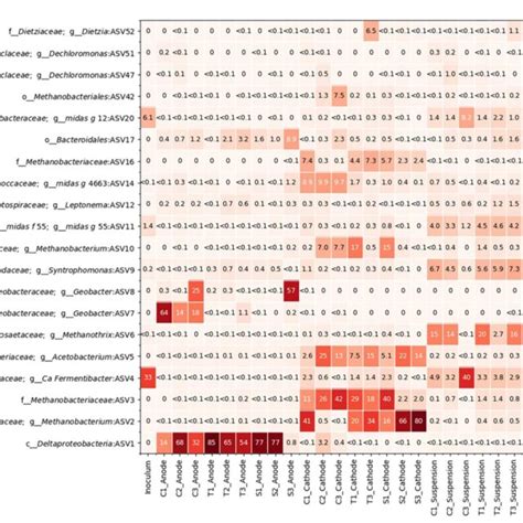 Figure A Heatmap Depicting The Relative Abundance Of The Top Pp Most