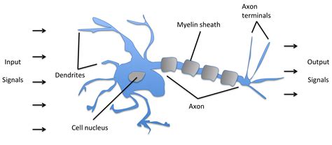 Python之ML 机器学习分类算法 LQ H 博客园