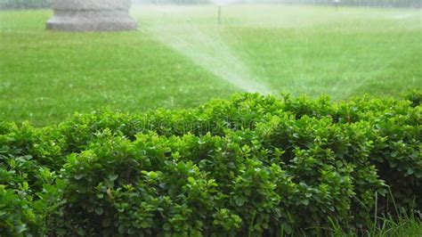 Lawn Irrigation System Stock Video Video Of System 322993899