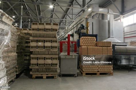 재활용 종이 공장에서 나무 팔레트에 포장된 상품을 가진 저장 창고 제품 배송 준비 0명에 대한 스톡 사진 및 기타 이미지 0