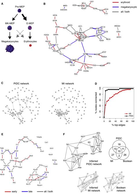 Gene Regulatory Network Inference From Single Cell Data Using