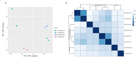 Principal Component Analysis And Sample Clustering Analysis Of