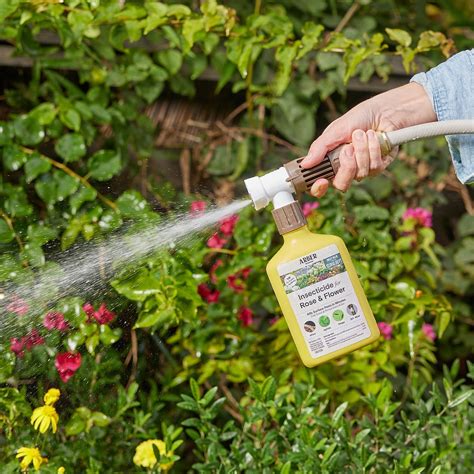Organic Insecticide For Rose And Flower Arber