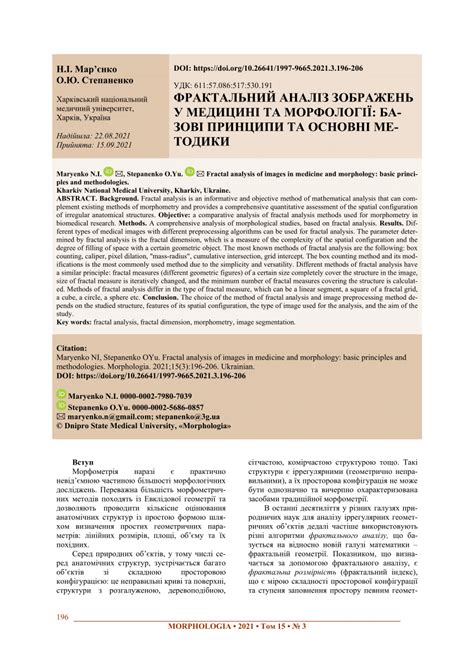 Pdf Fractal Analysis Of Images In Medicine And Morphology Basic Principles And Methodologies