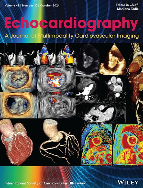 Assessment Of The Right Ventricle Function In Patients With Significant Tricuspid Regurgitation
