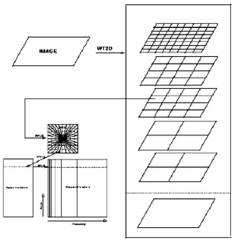 Curvelet Transform Flowgraph Download Scientific Diagram