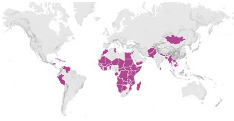 Figure 1 From Diversifying Agrifood Systems To Ensure Global Food Security Following The Russia