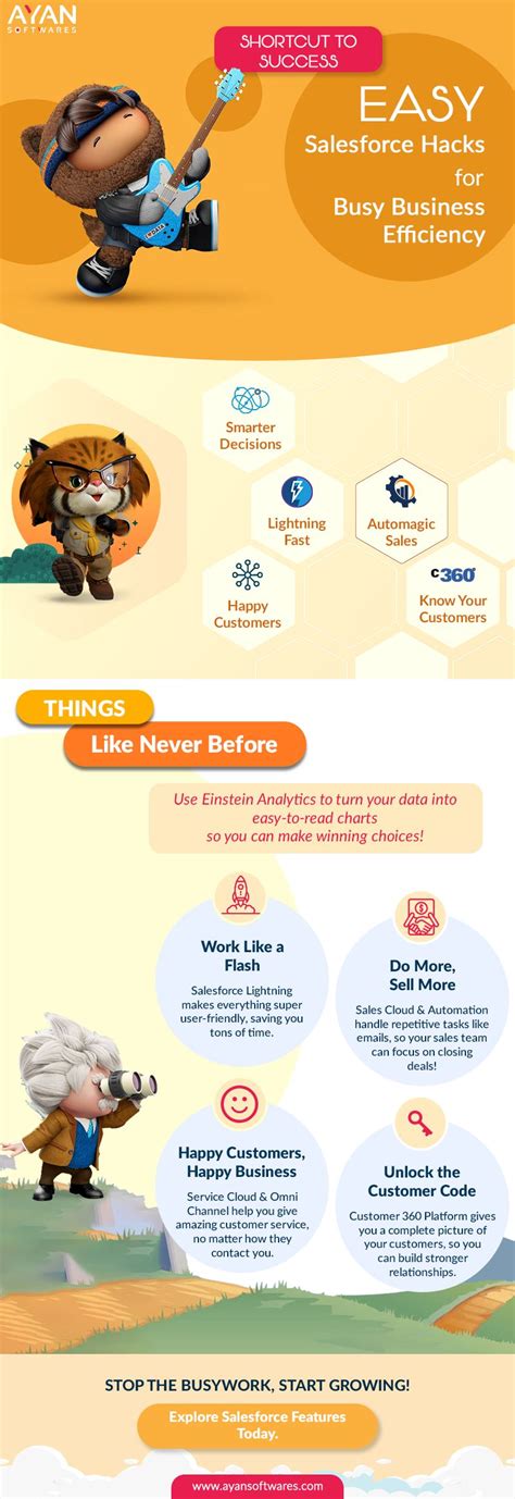 Ayan Softwares On Linkedin Salesforce Salesforcehack Businessefficiency