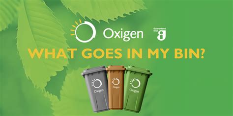 Oxigen Blog Black Brown And Green Bin Guide Keeping You Updated On All Things Oxigen Oxigen