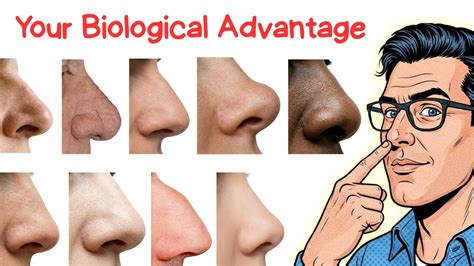 Why A Roman Nose Is The New Beauty Standard Collectorhowblog