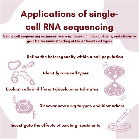 Top 5 Most Revolutionary Uses Of Single Cell Rna Sequencing