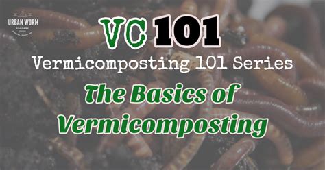 Vermicomposting 101 Series Urban Worm Company