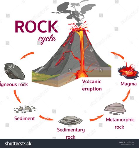 1 101 Rock Cycle Geology Images Stock Photos 3D Objects Vectors