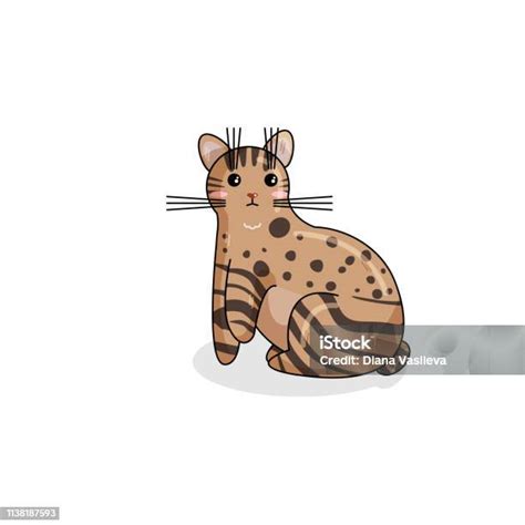 Karakter Vektor Pixie Bob Cat Dalam Gaya Kawaii Ilustrasi Stok Unduh