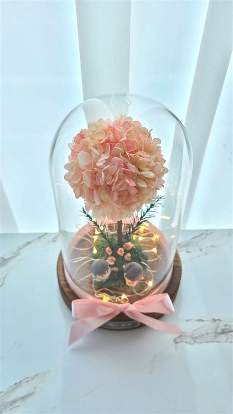 프리저브드플라워 수국 볼 토피어리 Led유리돔 수국유리돔 용인프리저브드플라워 오렌지투톤수국 영덕동꽃집 네이버 블로그