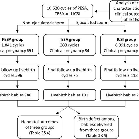 Clinical Outcomes Of ICSI Cycle According To Sperm Origin The Download Scientific Diagram