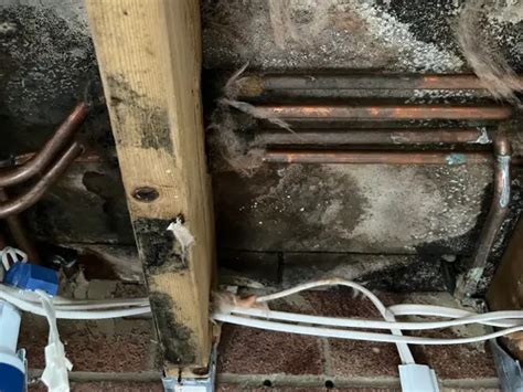 Water Leak Detection Services In Farnborough Dcl Drains