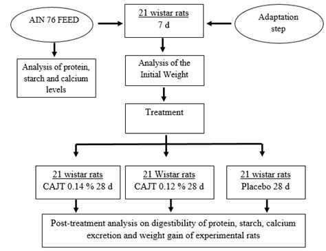 Scheme Of The Research 23 Measurement Of Research Variables 231