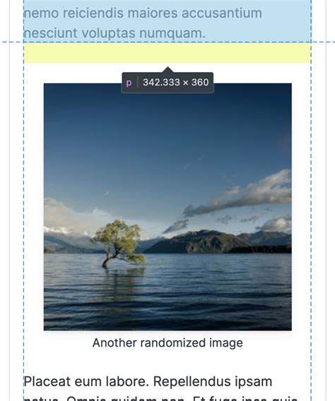 EuiImage Using Display Table Breaks FullWidth Centering Issue Elastic Eui GitHub