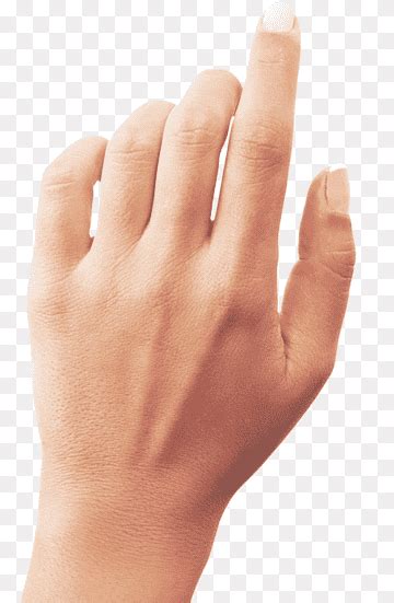 Hand ] Png Images Pngwing