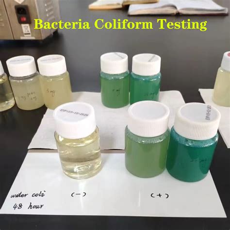Coliform Bacteria Water Test Kit Ensure Safe Drinking Water