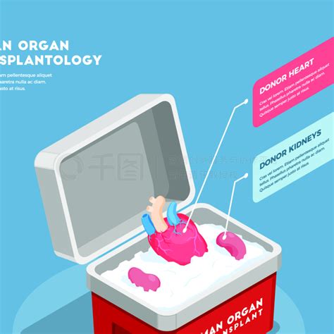 人体器官等距组成与供体心脏和肾脏在医疗容器3d矢量图模板免费下载 Eps格式 1500像素 编号38521677 千图网