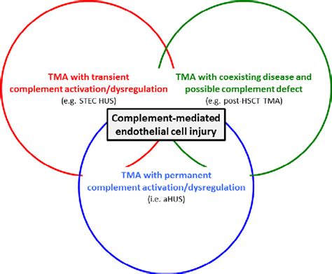 Figure 1 From The Alternative Pathway Of Complement And The Thrombotic Microangiopathies