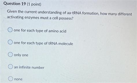 Solved What Is The Function Of Dna Primase In Dna