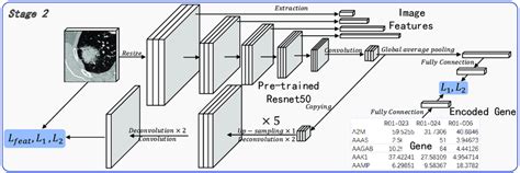 Illustration Of Conditional Autoencoder For Gene And Images Mapping