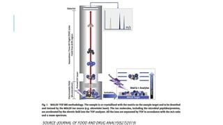 Automated System For Bacterial Identification PPTX