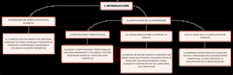 TaxonomÍa Mapa Conceptual Y Resúmen Algor Cards
